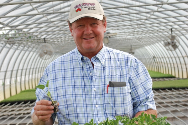 About Cox Farms - Cox Farms